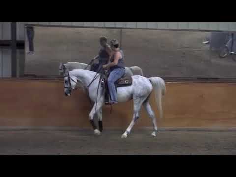 SANDRA AMES - YouTube