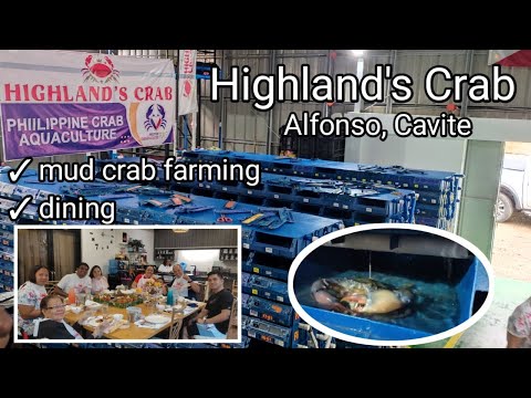 Highland's Crab/Chubby travels to a Crab fattening farm in Alfonso ...
