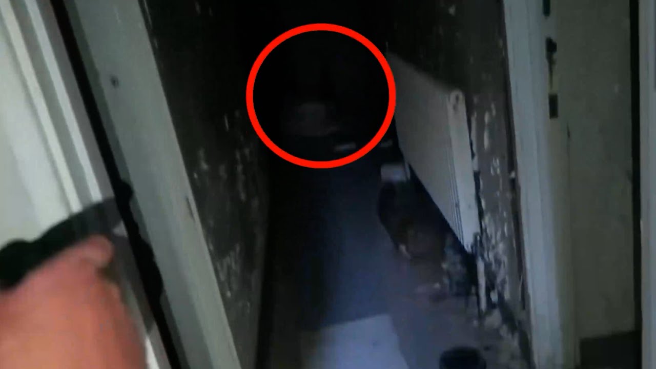 Nightmarish Videos That Will Make You Question Reality - YouTube
