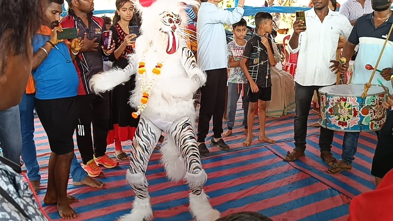 #day5 | white and yellow tiger at retang colony,🐯| #retangcolony #maa # ...