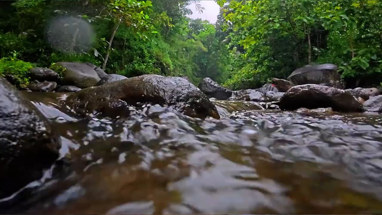 Relaxing River Sound for therapy helps you sleep soundly, relieves ... Relaxing River Sound for therapy helps you sleep soundly, relieves ...