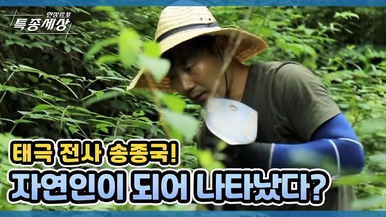 태극 전사 송종국! 자연인이 되어 나타났다? MBN 210729 방송 - YouTube