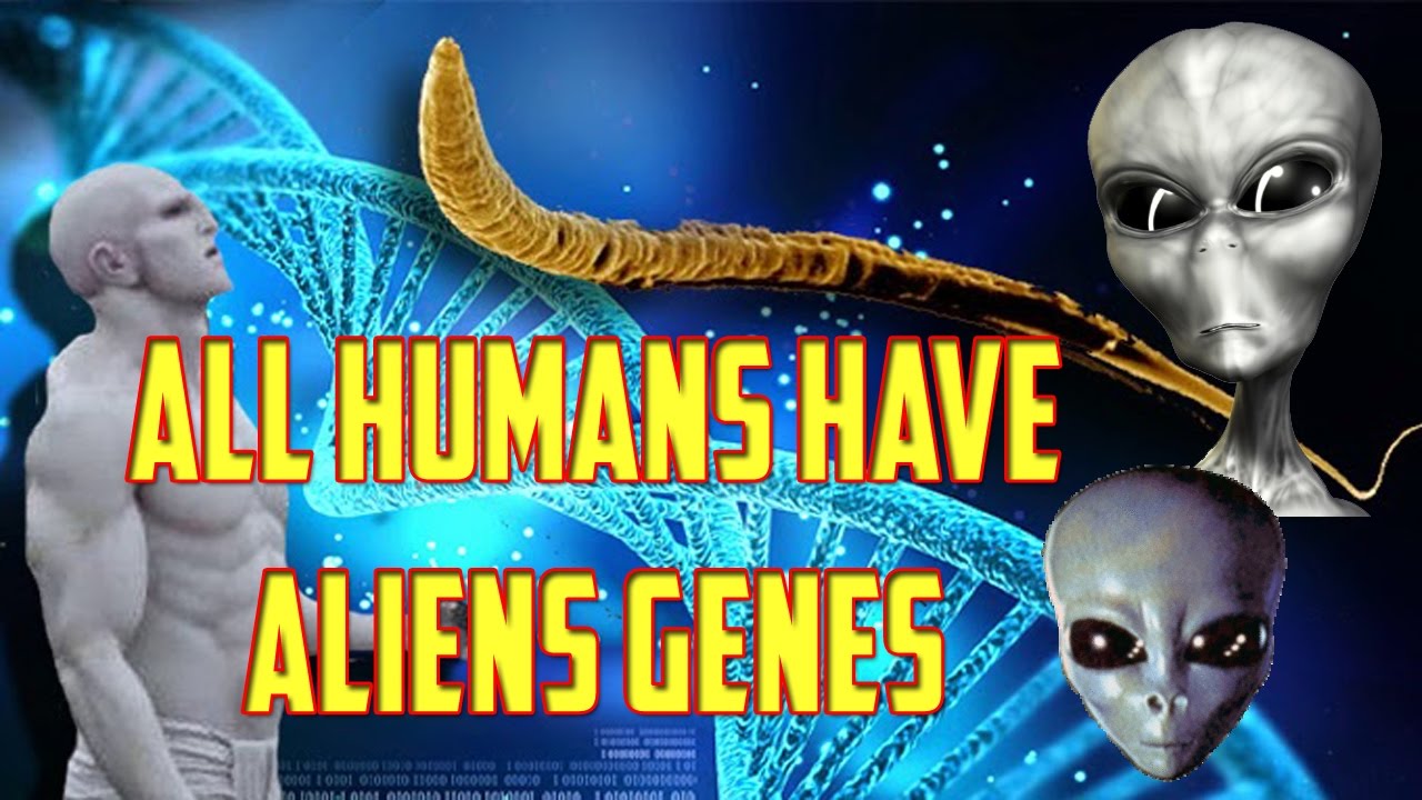 All humans have Alines genes - YouTube