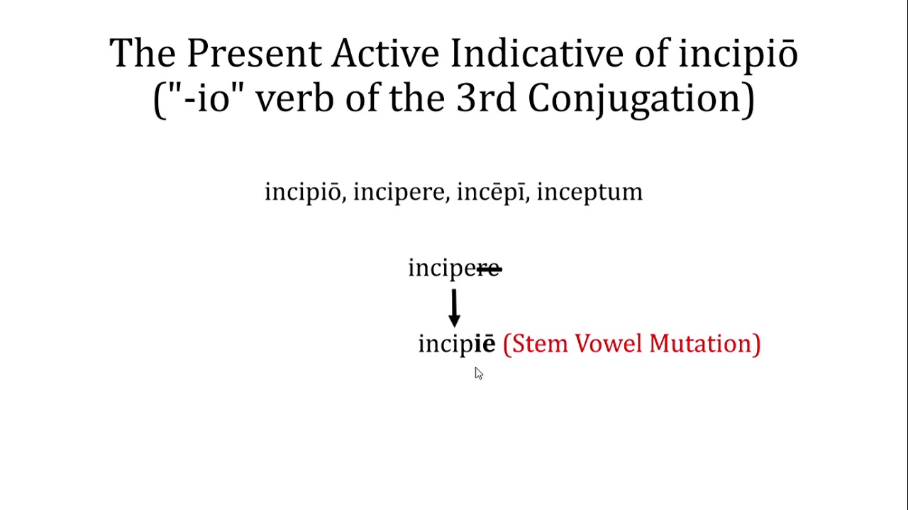 HS Latin I Present Indicative+Subjunctive All Conjugations - YouTube
