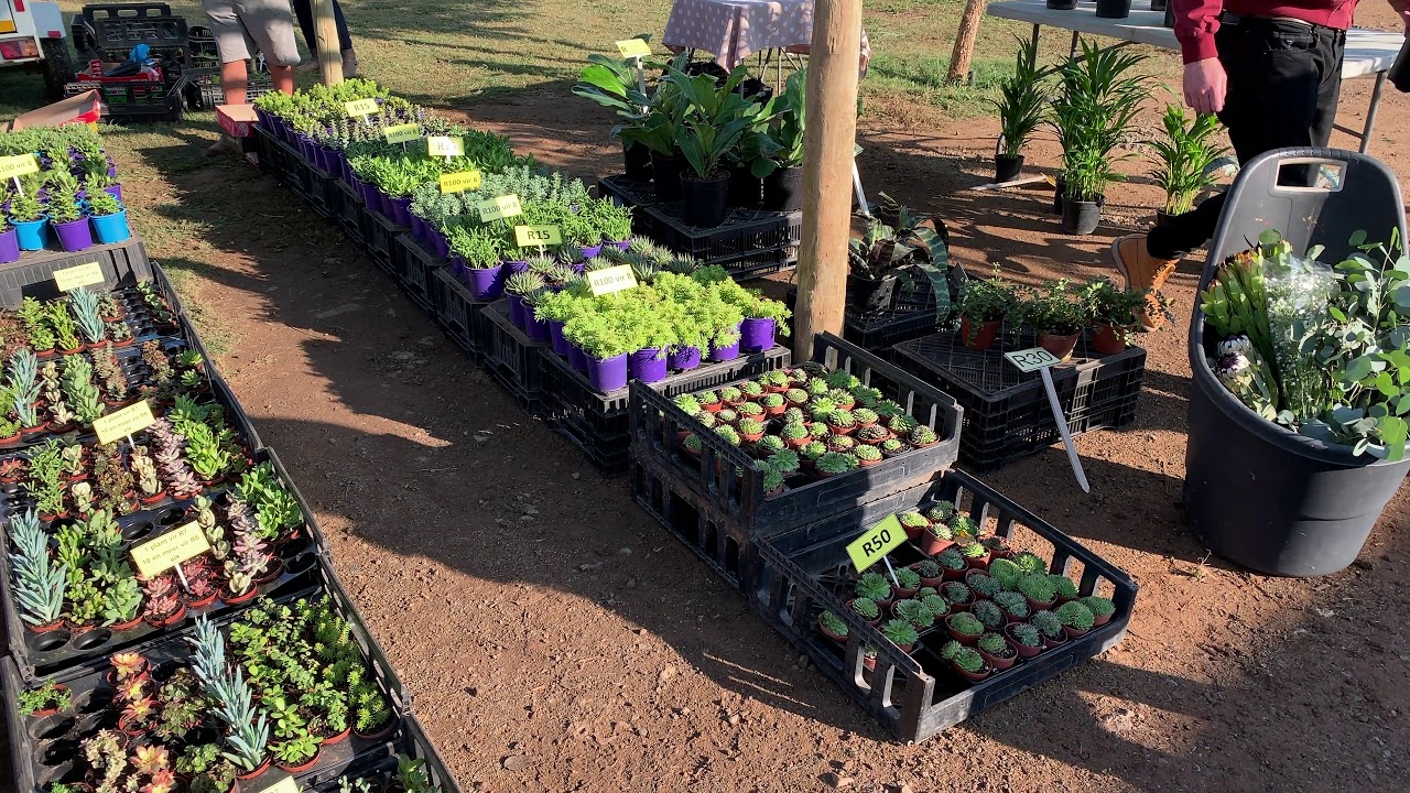 Pretoria Boeremark (Silverton) - YouTube