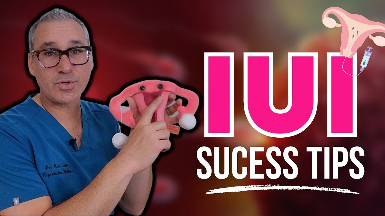 5 Ways To Boost Your IUI Success Rate | Maximize Your Chances Of ...
