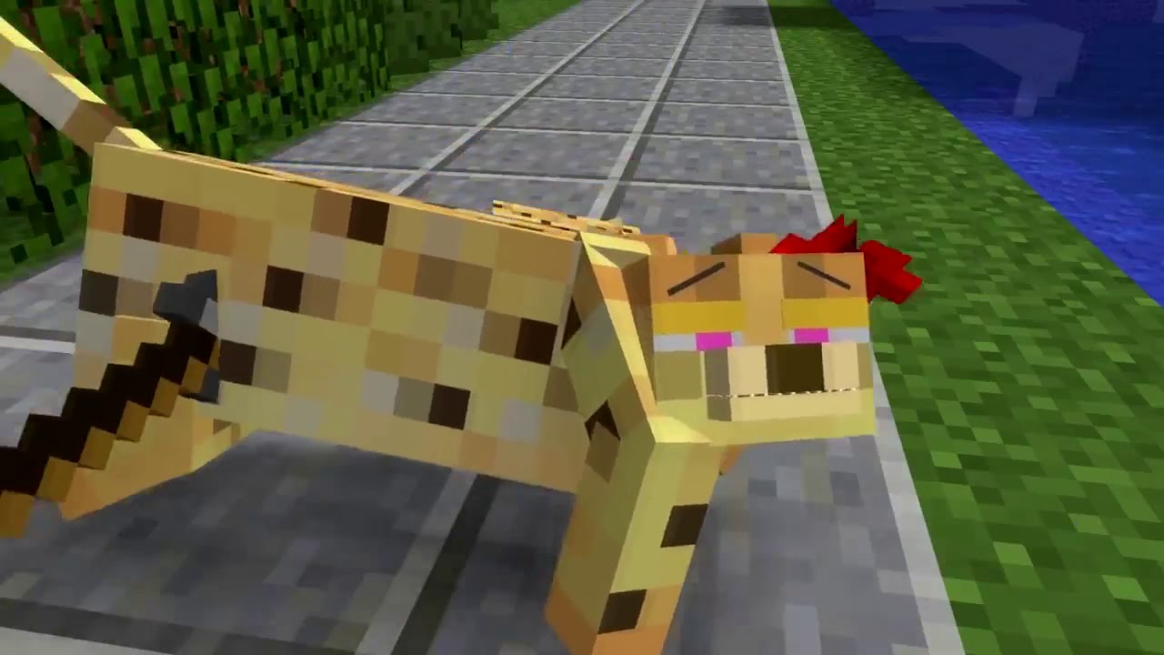 Craftronix! Ocelot Life - Craftronix Minecraft Animation - YouTube