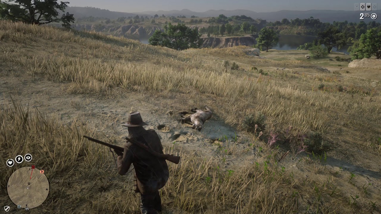 Red Dead Redemption 2 cats in the bag - YouTube