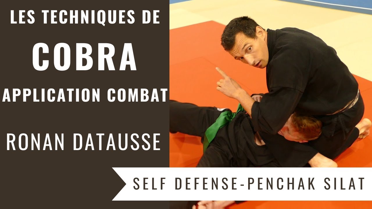 Les Cobras - Applications en Combat (Self Défense - Penchak Silat ...