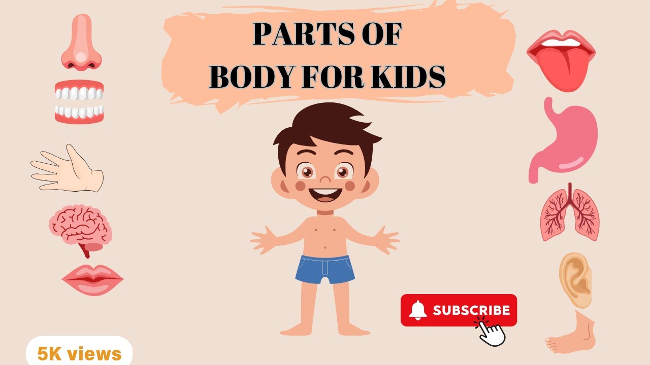 PARTS OF BODY INTRODUCE HIMSELF FOR KIDS| IN ENGLISH |SUBTITLE - YouTube