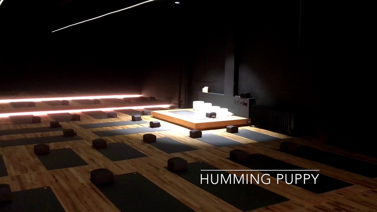 Humming Puppy - YouTube