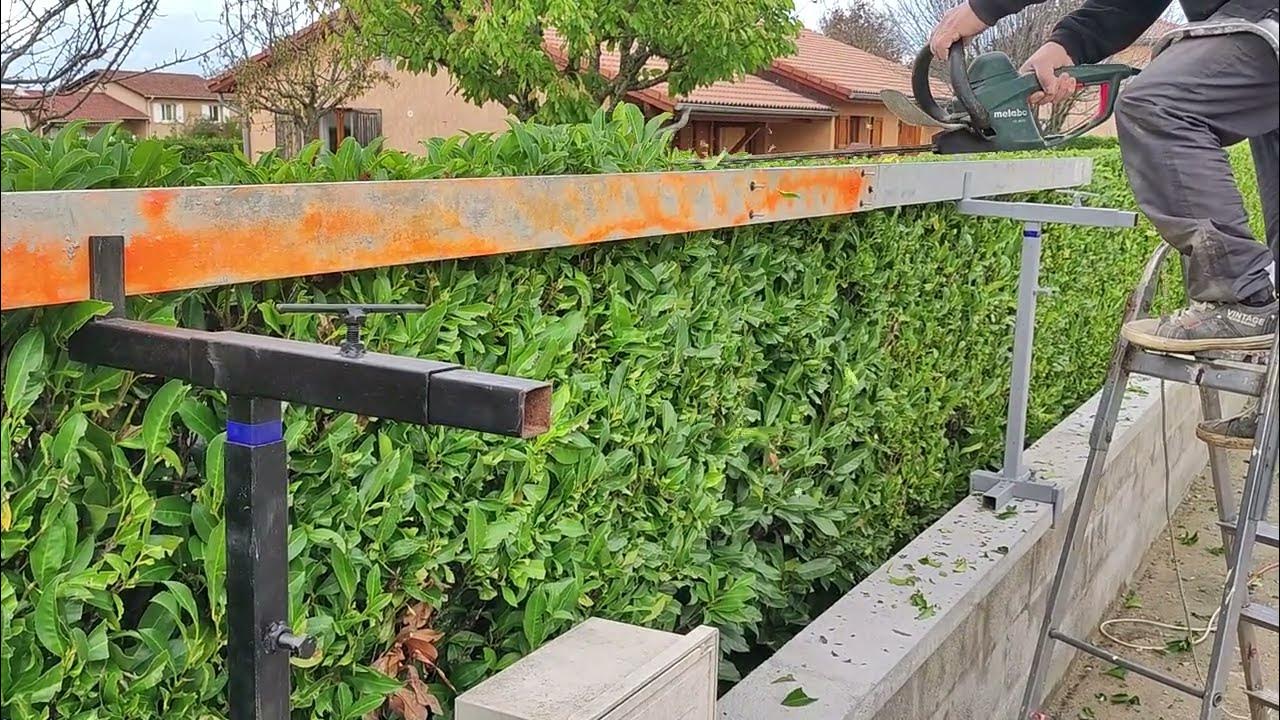 comment tailler une haie droite et de niveau - YouTube