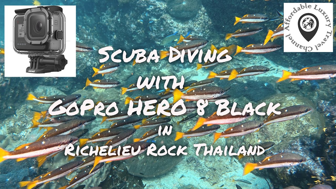 Scuba Diving with GoPro Hero 8 Black in 4K - Richelieu Rock Thailand ...