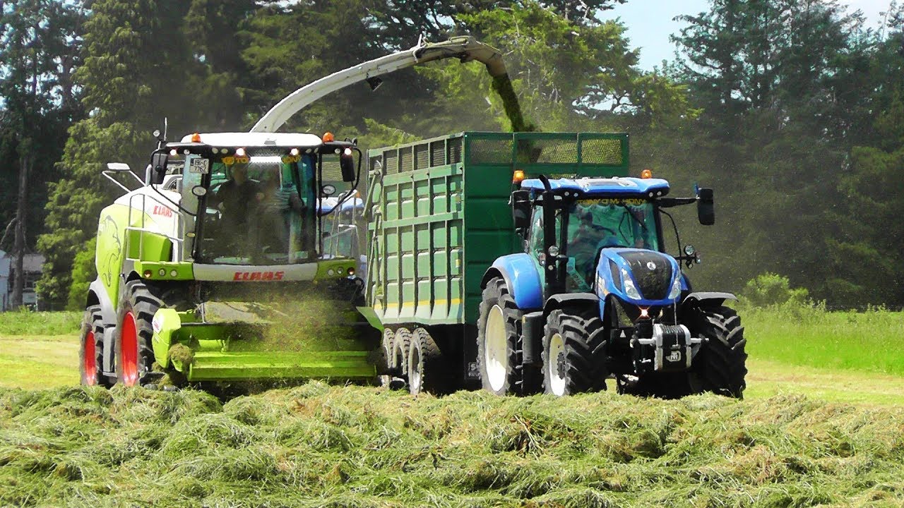 Silage 2019 - New Claas Jaguar 970 At 2nd Cut - YouTube