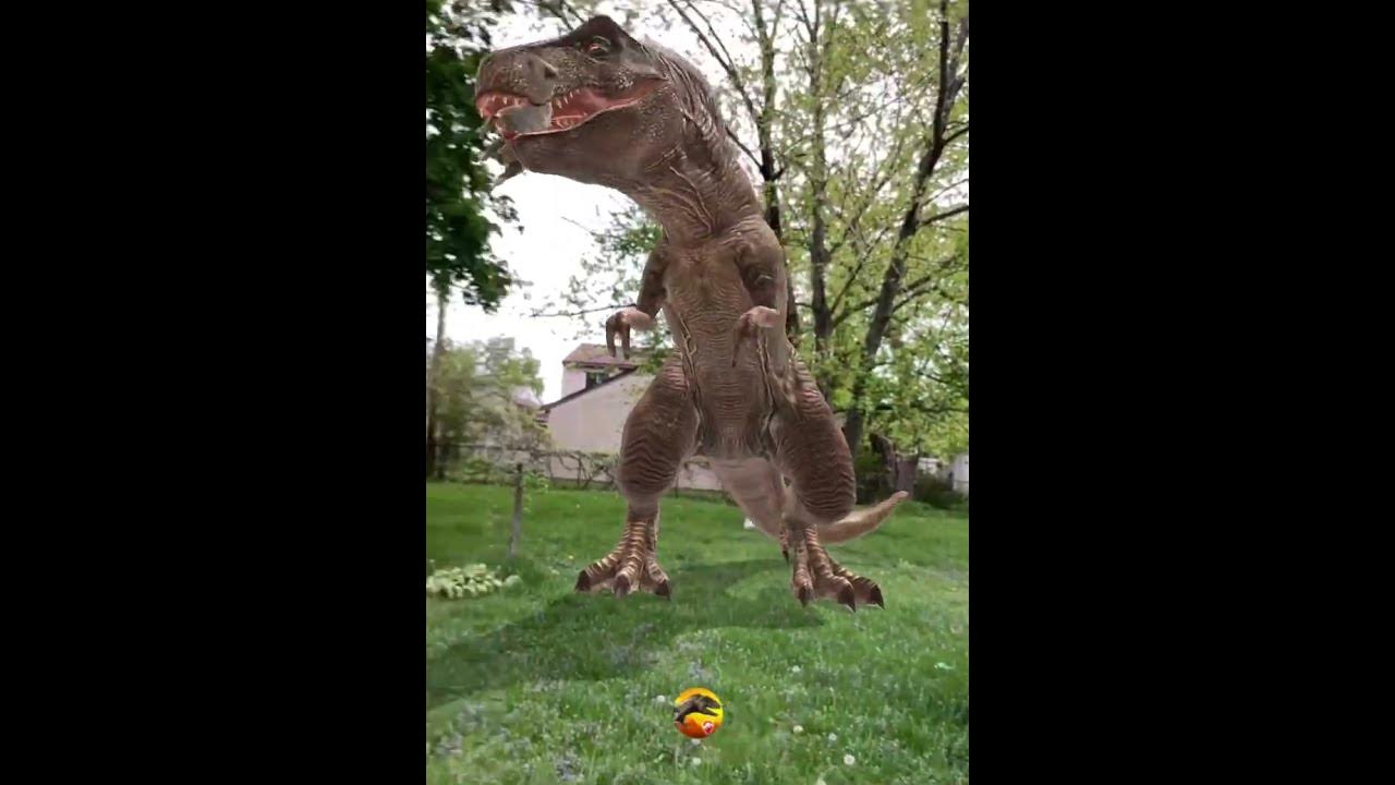 There is a dinosaur in my backyard 5 - YouTube