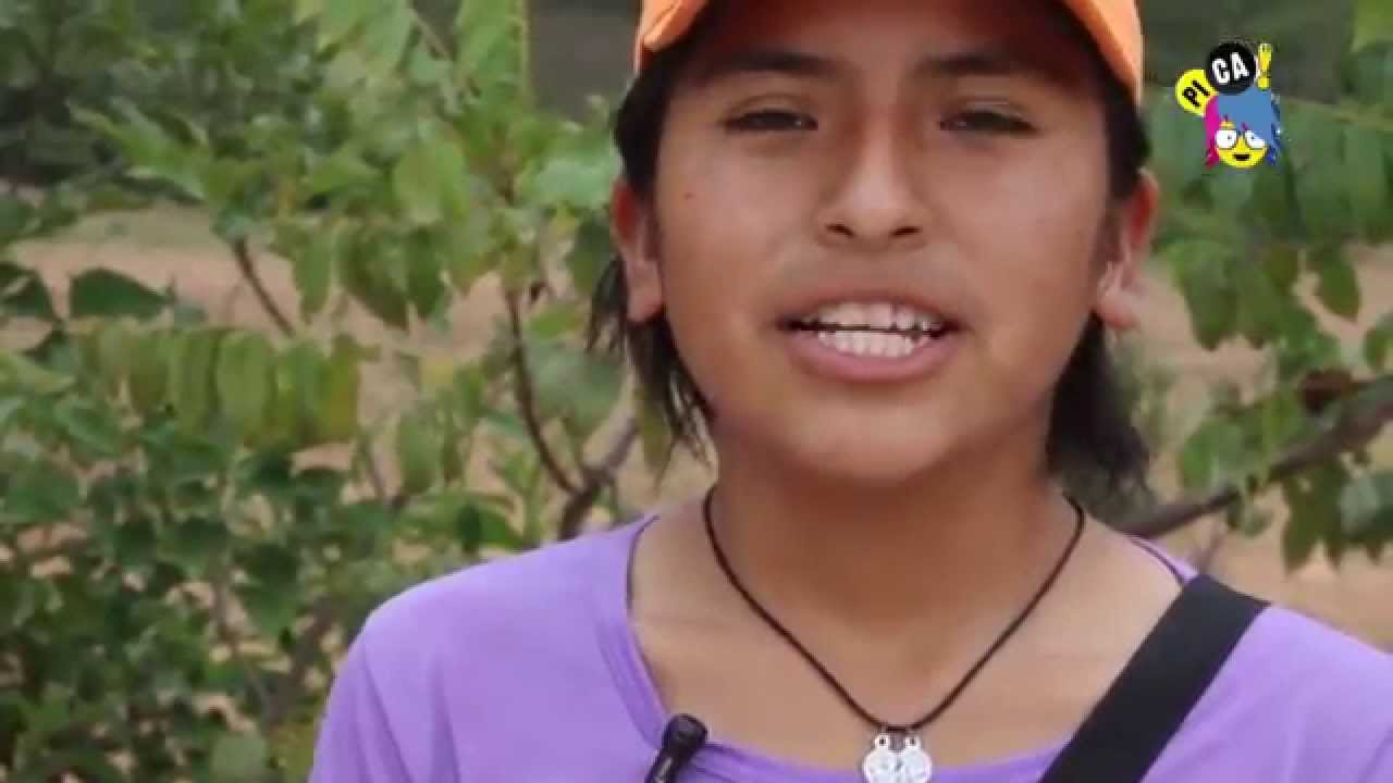 PICA programa 196 831 del 26 de octubre de 2015 - YouTube