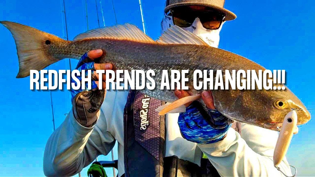 Redfish Trends Are Changing (Why Your Summer Tactics Won't Work) - YouTube