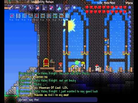 Terraria Wedding - Becky and Zion - YouTube