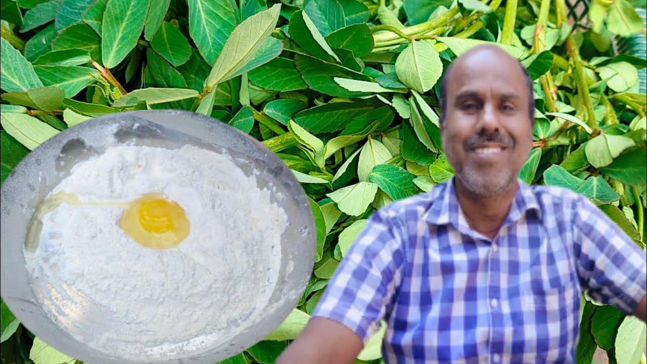 Anda Role Recipe in hindi style || How to make anda Role Recipe || anda ...