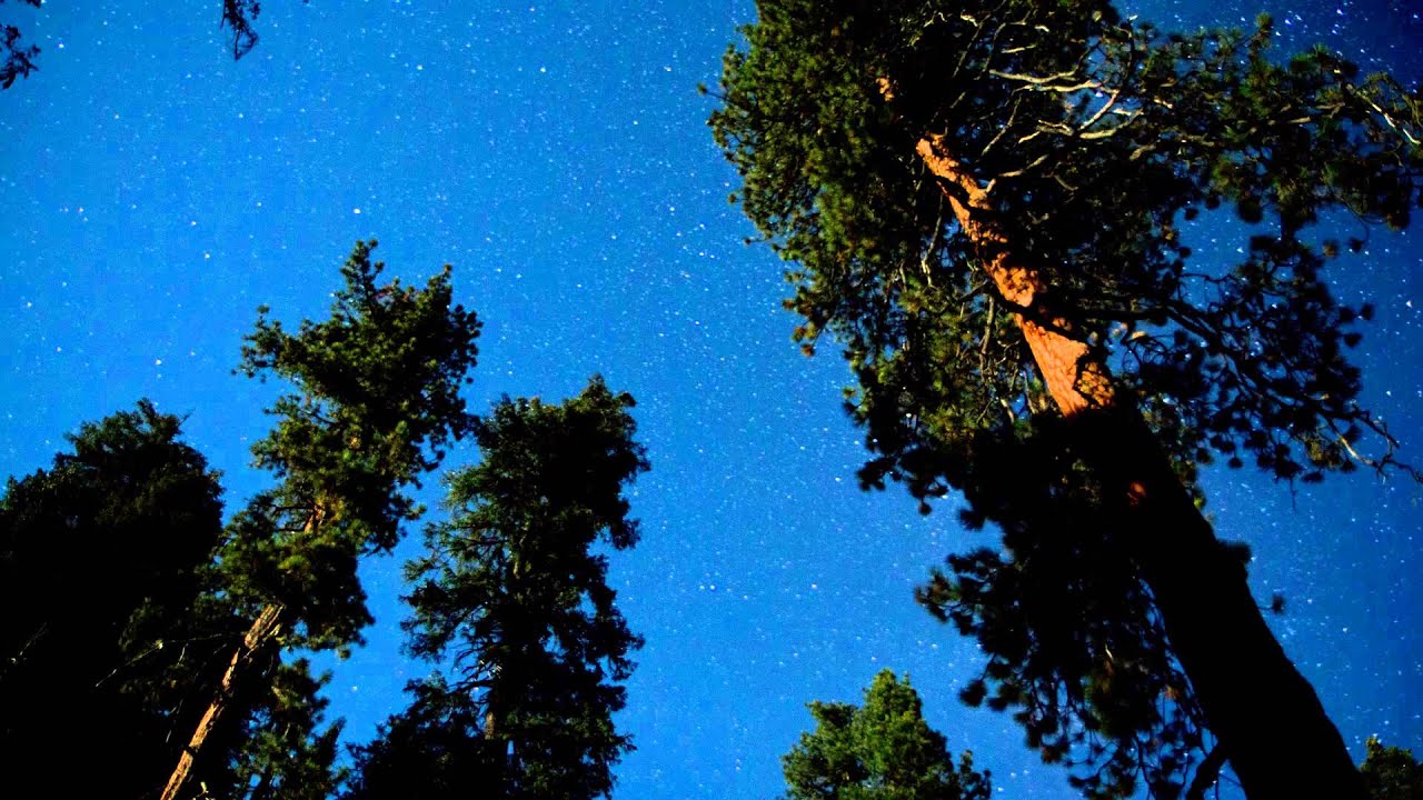Starry Night at Kings Canyon & Sequoia National Park - YouTube