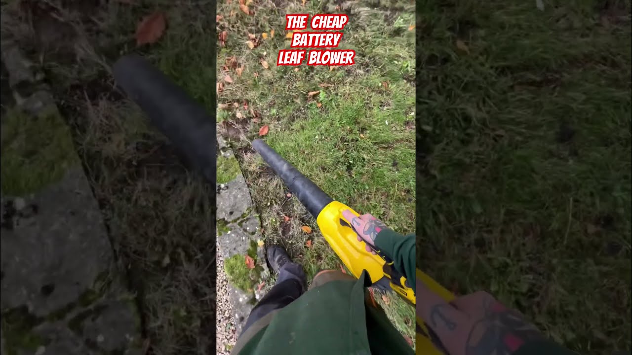 Cheap leaf blower store