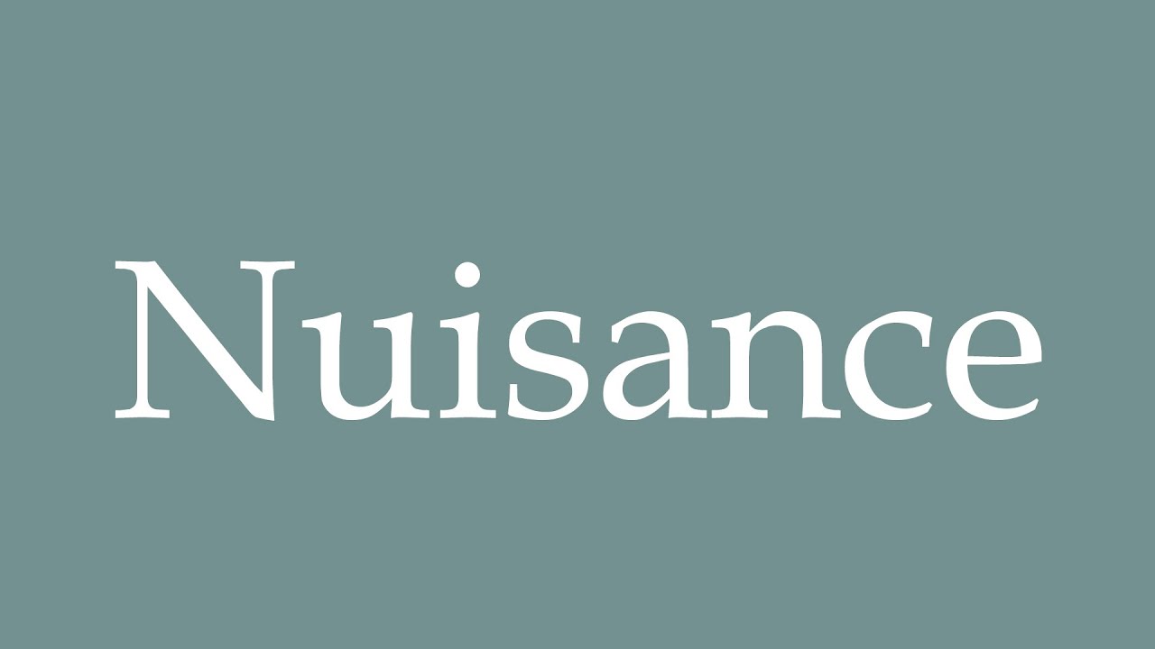 How to Pronounce ''Nuisance'' Correctly in French - YouTube