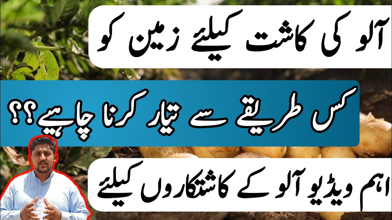 How to Land preparation for potato farming | Advantages of soil ...