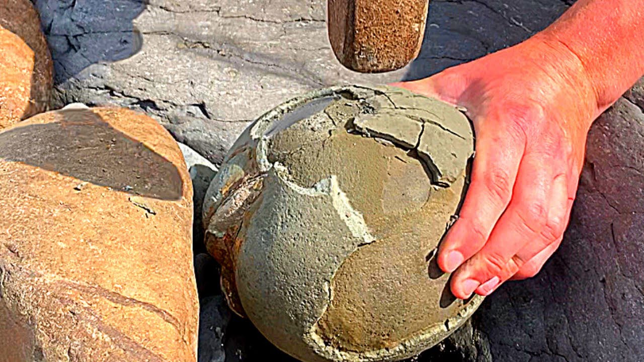 Incredible Fossil Find Cracked Open - YouTube