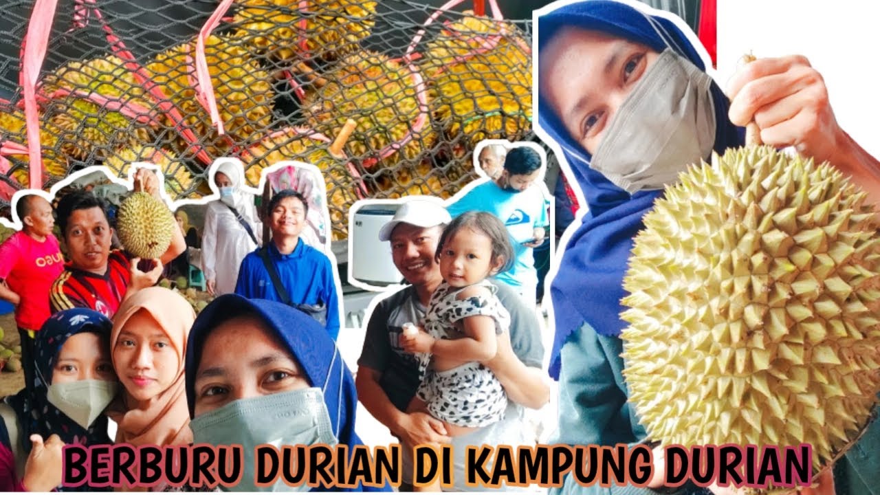 Surganya Durian ada di ( Kampung Durian ) Jember - YouTube