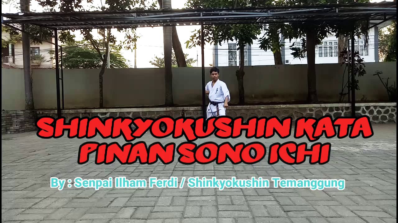 SHINKYOKUSHIN KATA / PINAN SONO ICHI - YouTube
