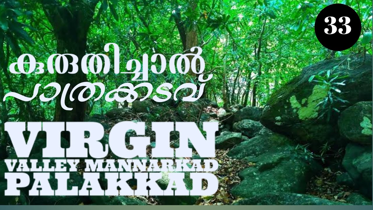 Virgin valley || kuruthichal water falls || Pathrakadavu || mannarkad ...