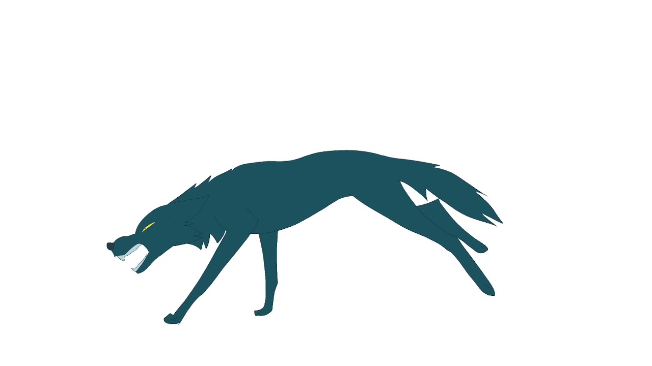 Wolf run cycle steps | 24fps - YouTube