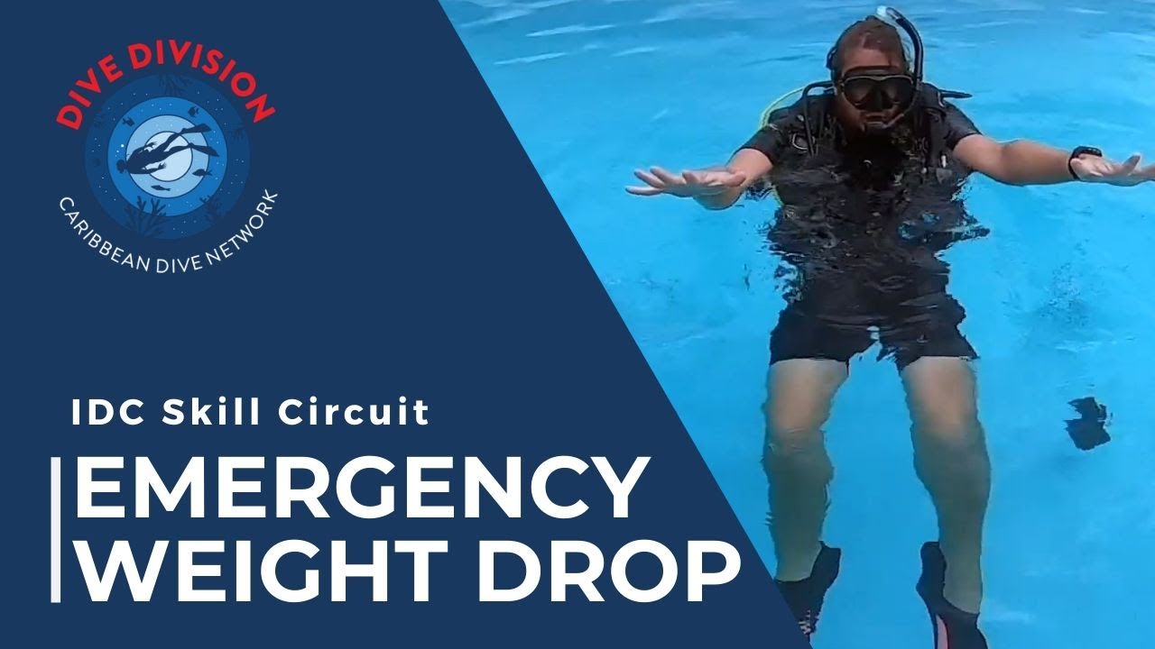 PADI IDC Skill Circuit: Emergency Weight Drop (Revised Instructor ...
