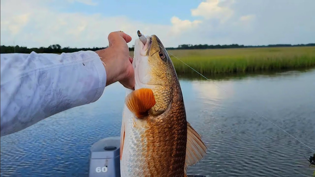 Catching beautiful redfish in the Mississippi marsh! - YouTube
