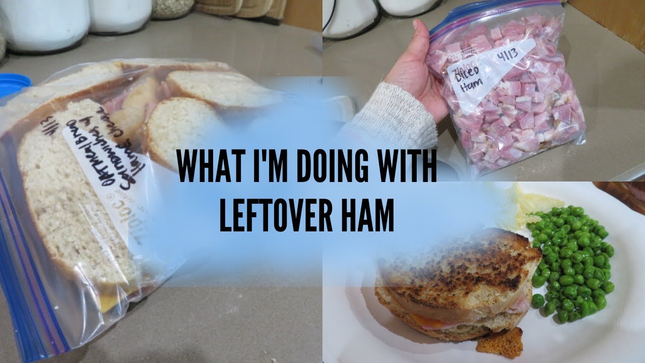 FREEZER MEALS W/ LEFTOVER HAM | MEAL IDEAS - YouTube