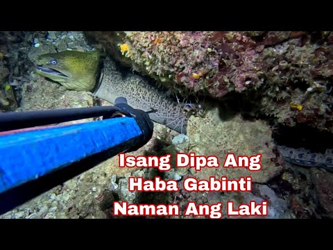 Episode 611 Isang Dipa Ang Haba Gabinti Naman Ang Laki night ...