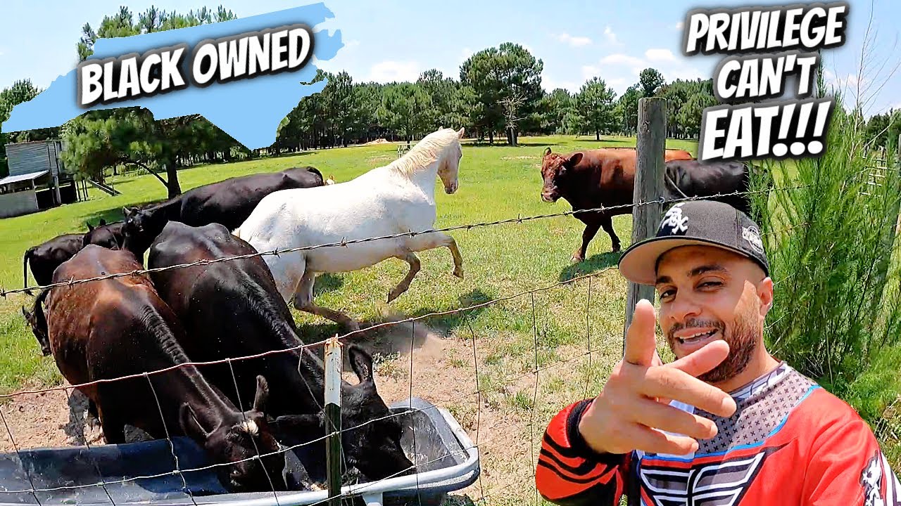 BLACK OWNED FARM LIFE IN NORTH CAROLINA | MY FIRST RENTAL PROPERTY ...