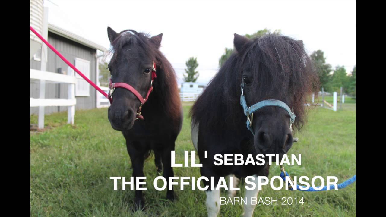 Lil Sebastian - YouTube