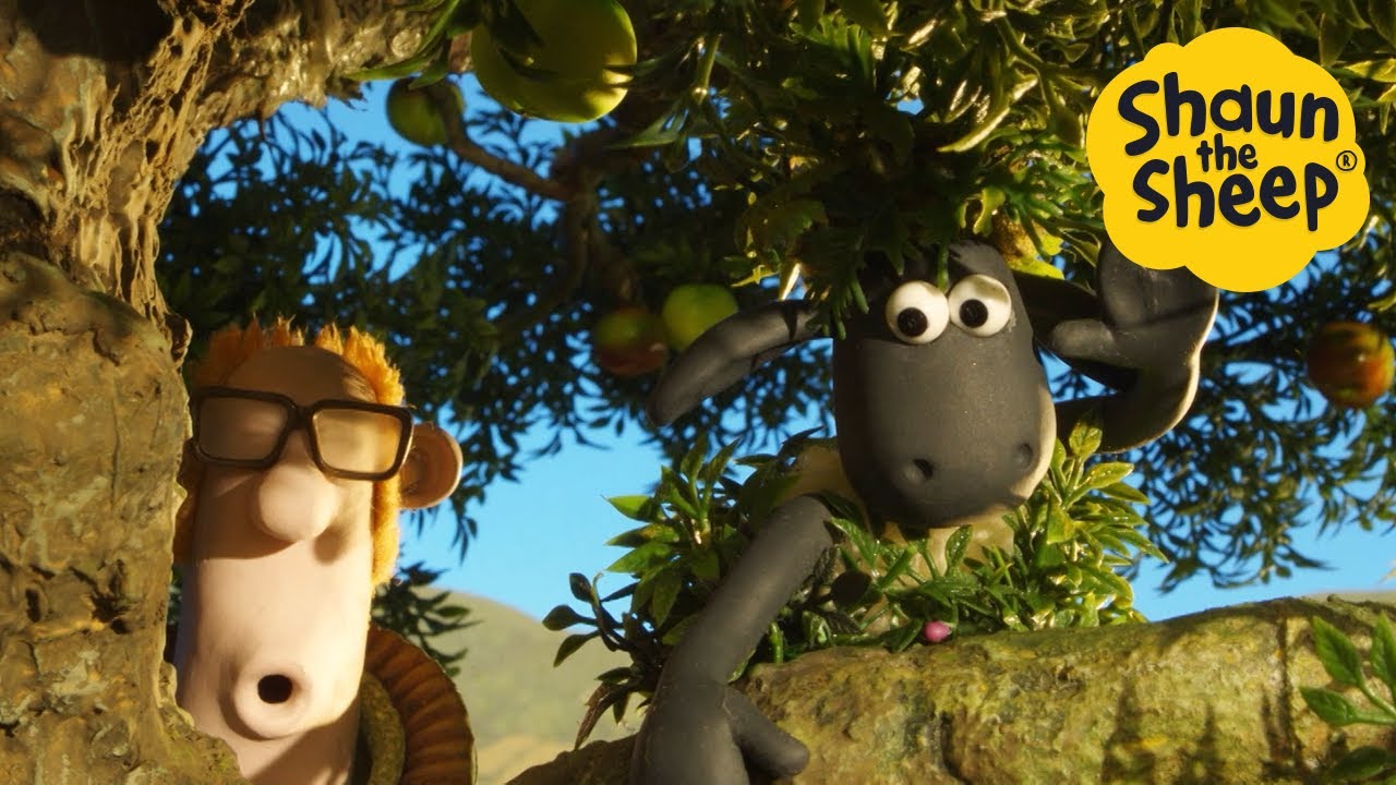LIVE 🚨 NEW FULL EPISODES🐑 Cartoons for kids, Preschool, Shaun the Sheep ...