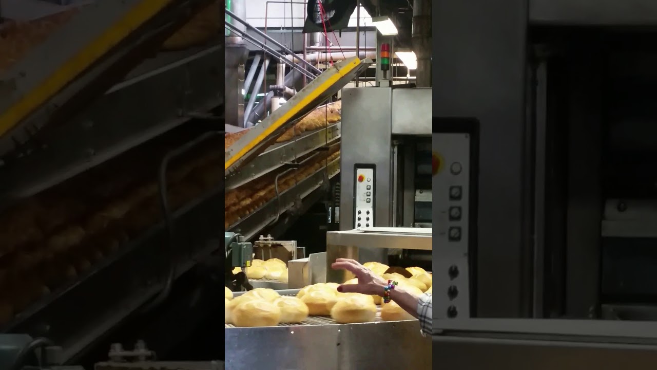 Huge Bakery Conveyor Belt - YouTube