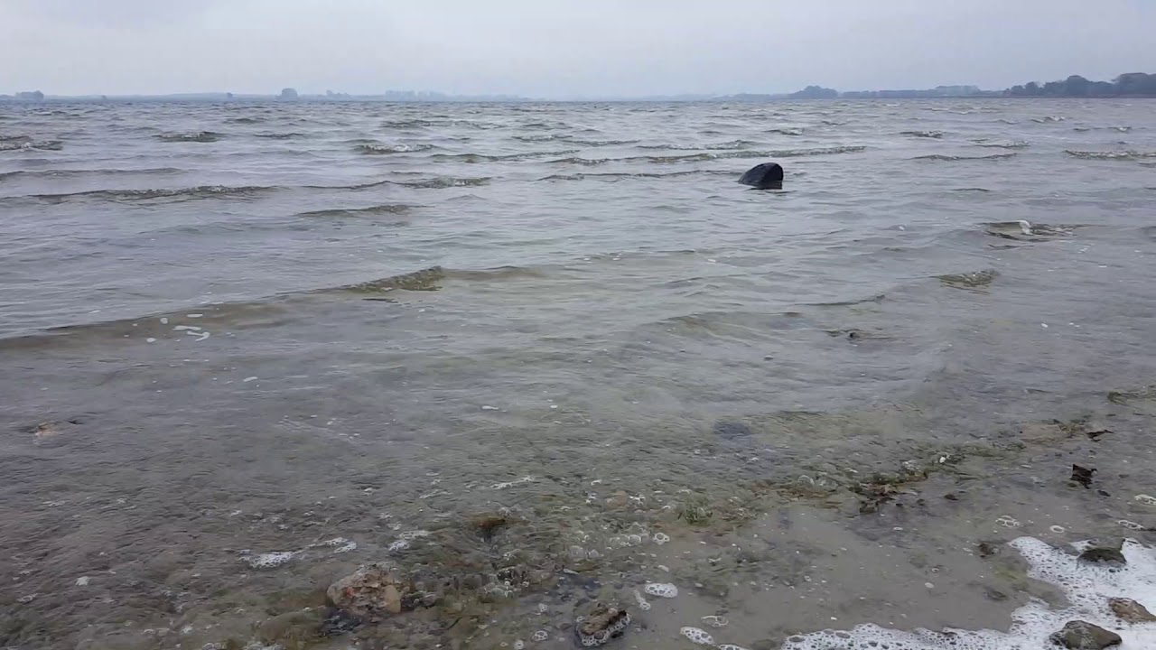 Strand Greifswald-Eldena - YouTube