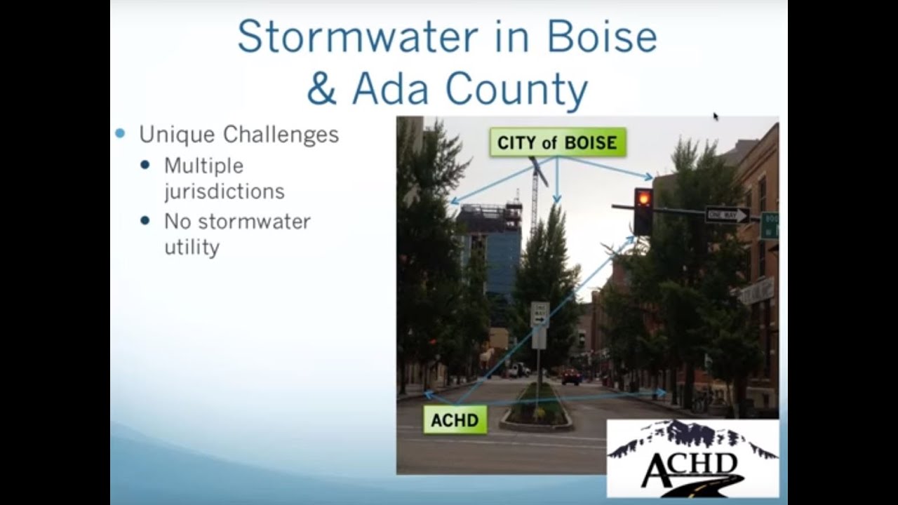 Webinar: Using tree assessment and stormwater management tools to guide ...