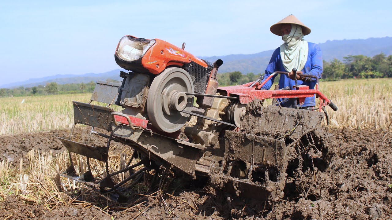 SLOW WAY RICE FIELD TRACTOR PLOWING CLAYEY AND DEEP FIELD YouTube slow-way-rice-field-tractor-plowing-clayey-and-deep-field-youtube