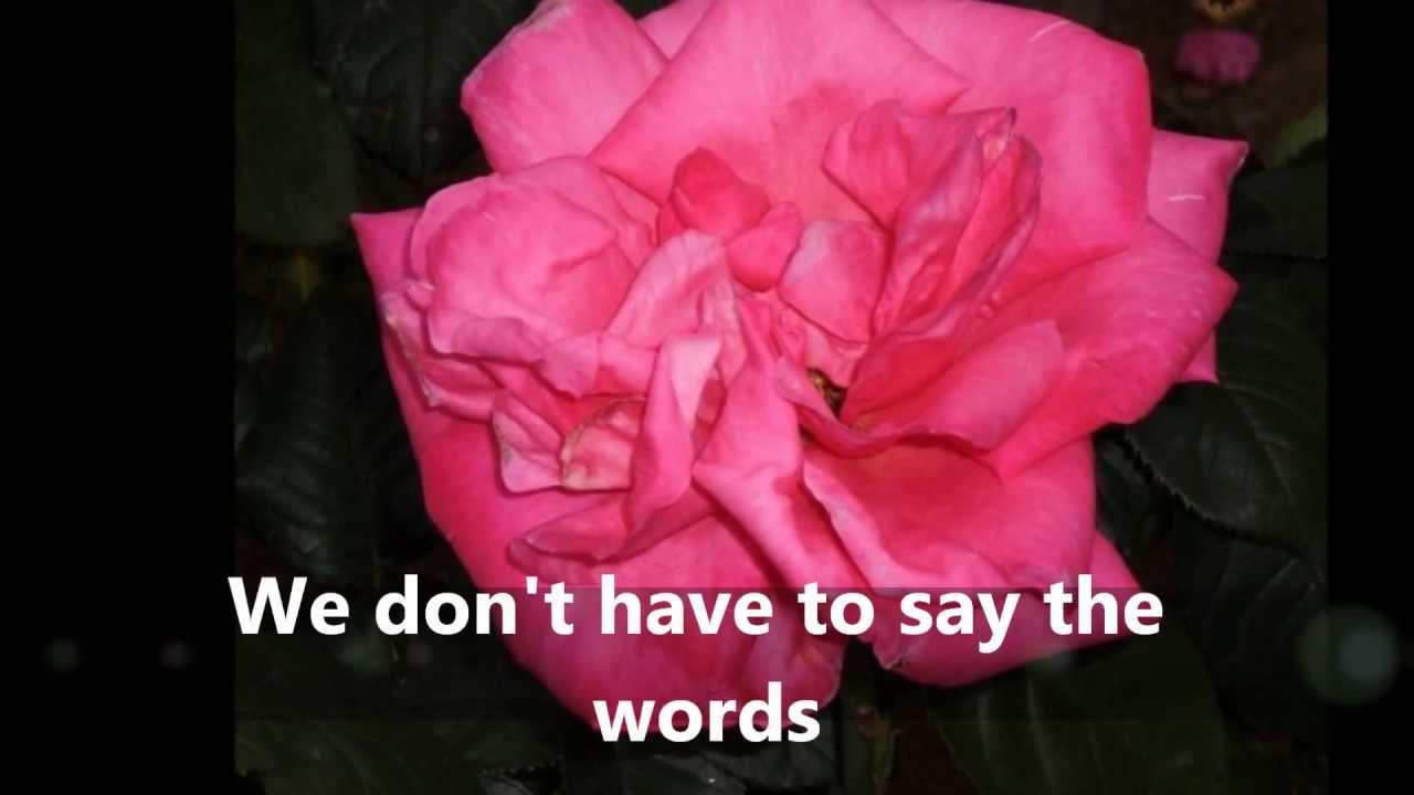 we-don-t-have-to-say-the-words-youtube