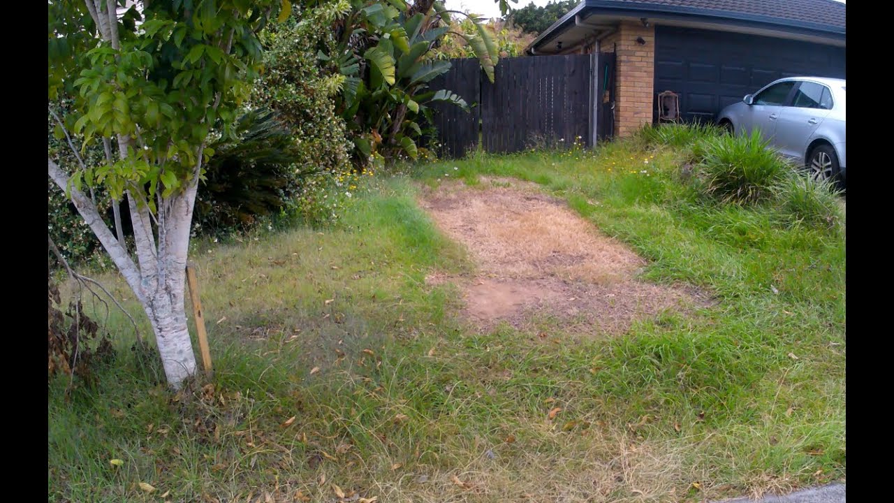Small yard, Needed Big clean up - YouTube