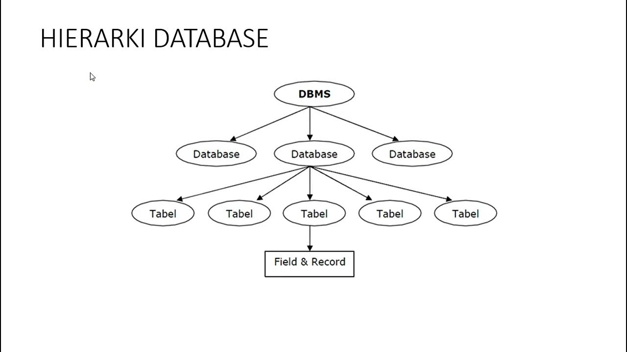 Database Mysql Youtube