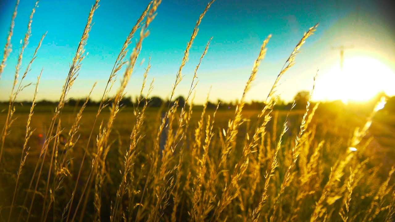 Slow, Peaceful and Calming Piano Music - work, study, relax ...