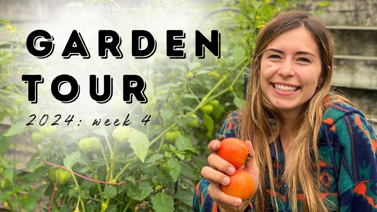 GARDEN TOUR (Week 4) | First Fruits, Terrifying Wasps, Tomato Pruning ...
