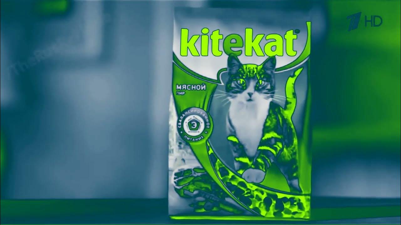 Аdvertising Реклама Китикет Kitekat Борис поймал пчелу In G Major 9 ...