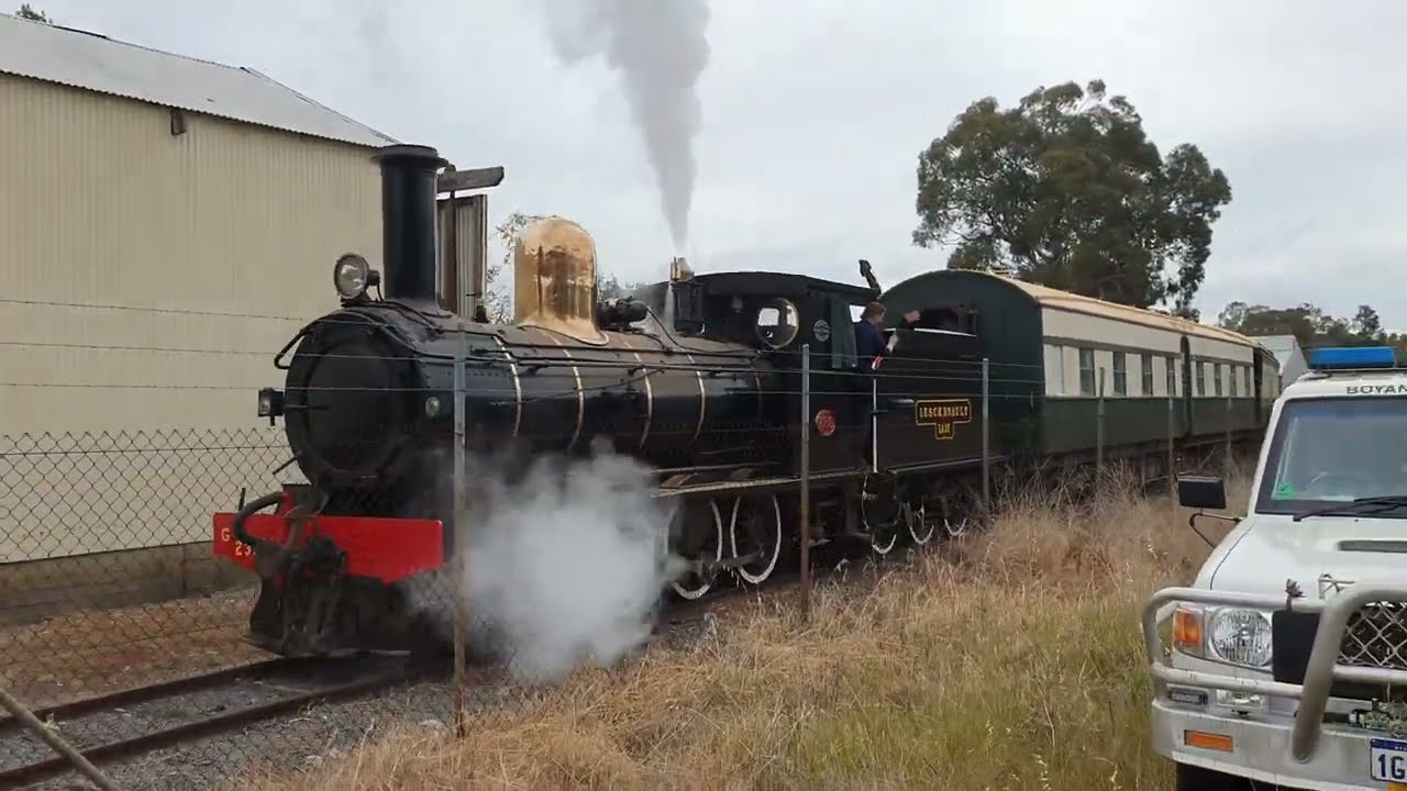 The Leschenault Lady - YouTube
